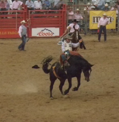 Another Day in Paradise: Rodeo!