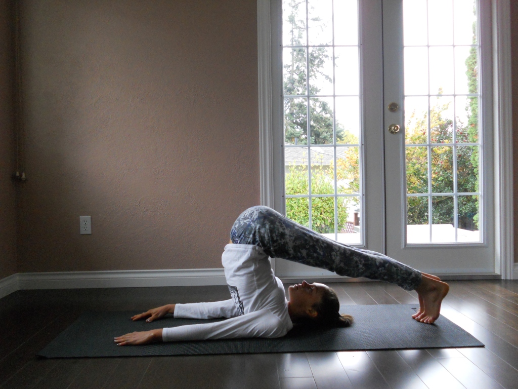 Snacking Squirrel: Halasana Yoga Pose