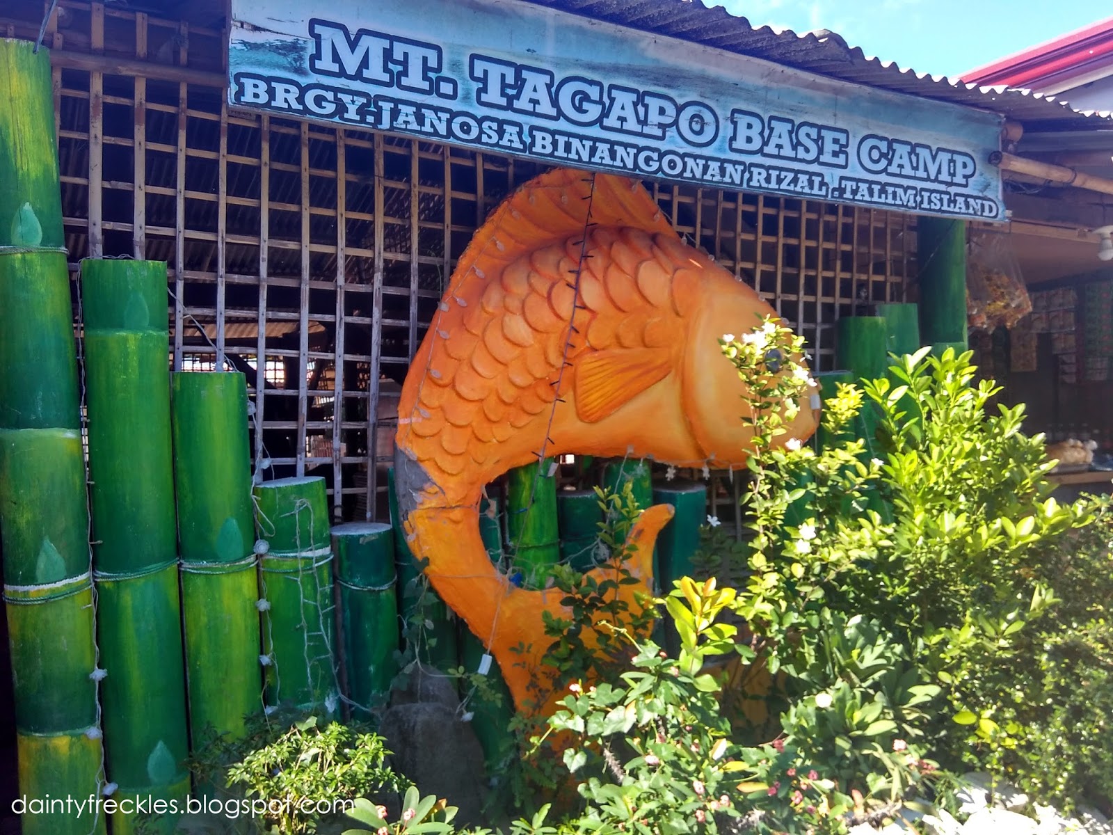 Mt. Tagapo Itinerary & Expenses - Dainty Freckles