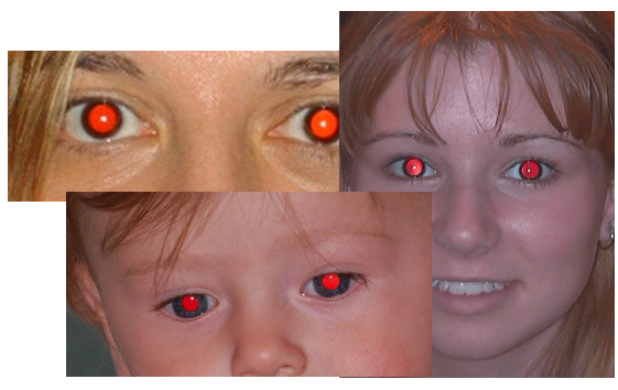 Bruckner Test On-Line: febrero 2016