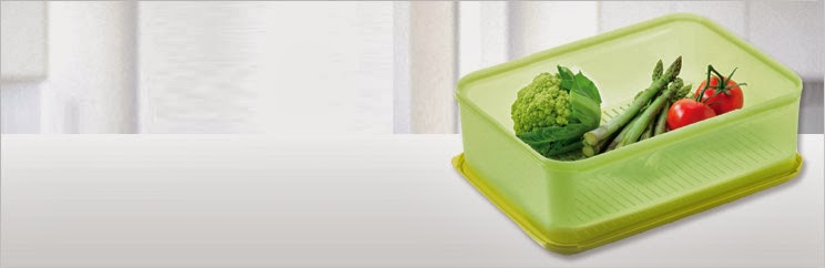 Tupperware Brand Malaysia::Tupperware: Fridge & Freezer :: Modular ...