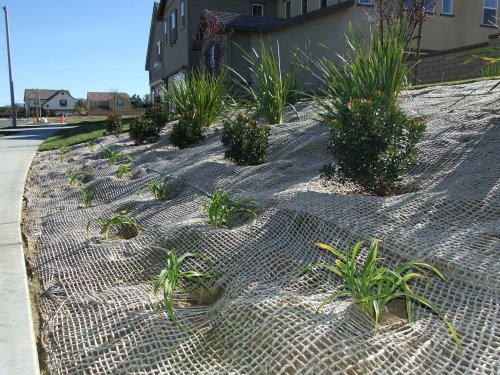 GEO-JUTE / JUTE SOIL SAVER ~ JUTEXS World