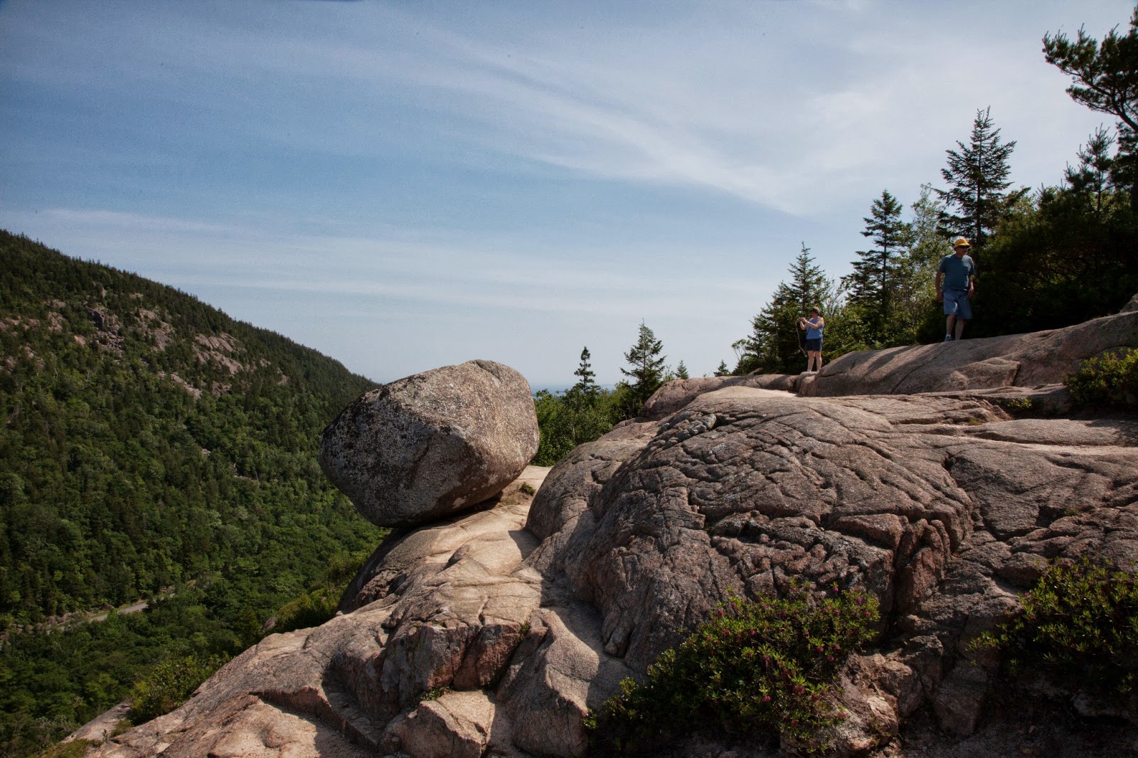 Acadia National Park | Bear Count