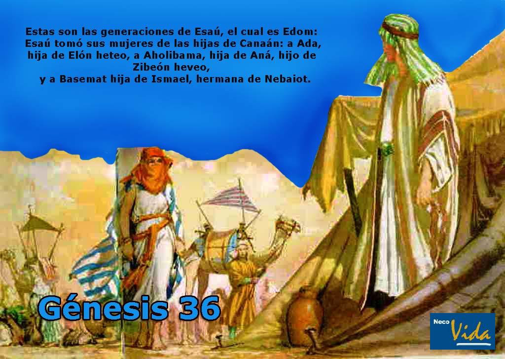 Neco Vida: Leyendo... Génesis capítulo 36