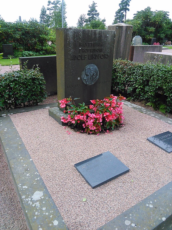 Patsaanmetsästäjä: marraskuuta 2016