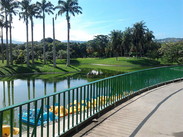 By @ZonArquitectur: Parque del Este_Caracas_Venezuela #Paisajismo