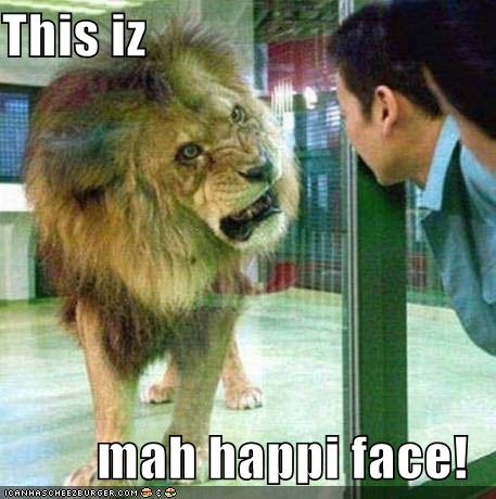 Funny Pictures Gallery: Funny lion, lion pictures, lion funny, funny ...