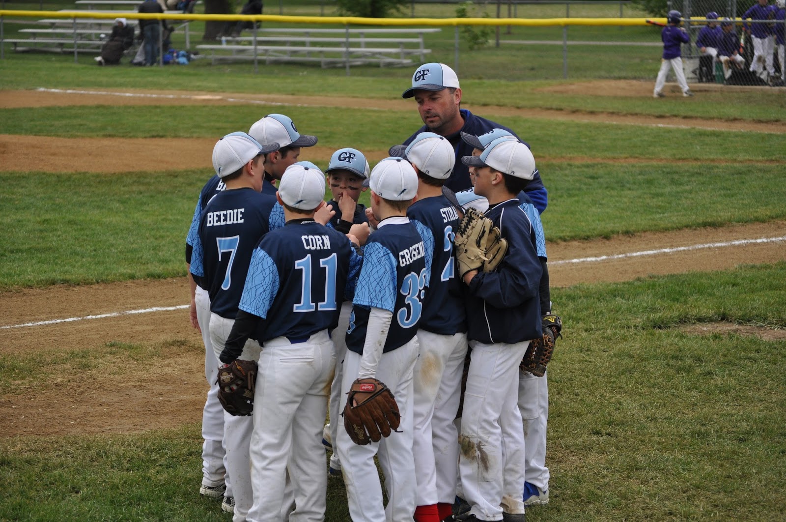 Great Falls Lightning Baseball