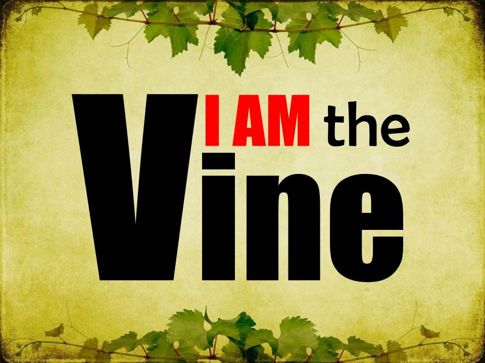 I Am The Vine - Digging The Word
