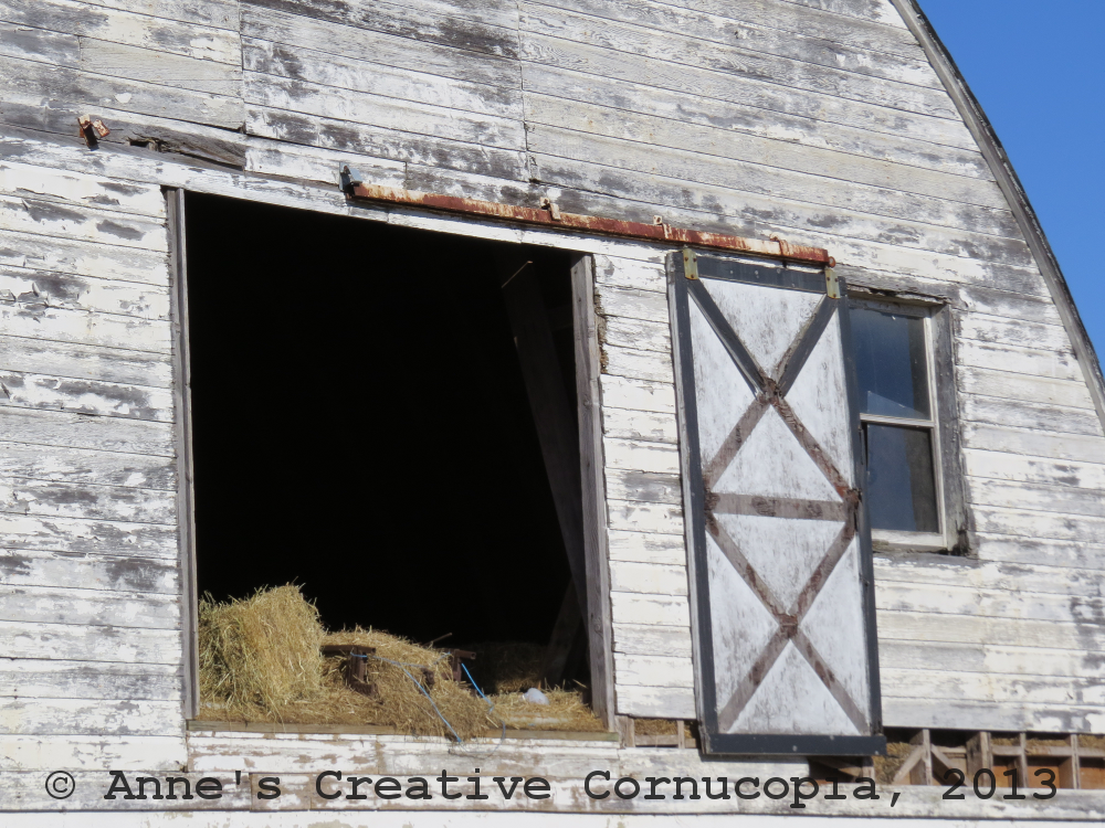 Anne's Creative Cornucopia: Barns - Photographs