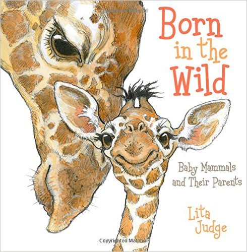 Children's Books About Mammals - Every Star Is Different