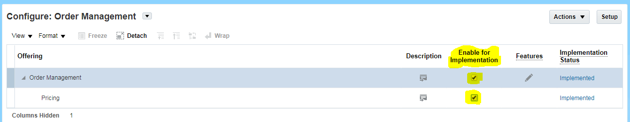 ORACLE MASTERMINDS: How to Enable Offerings in FUSION Applications