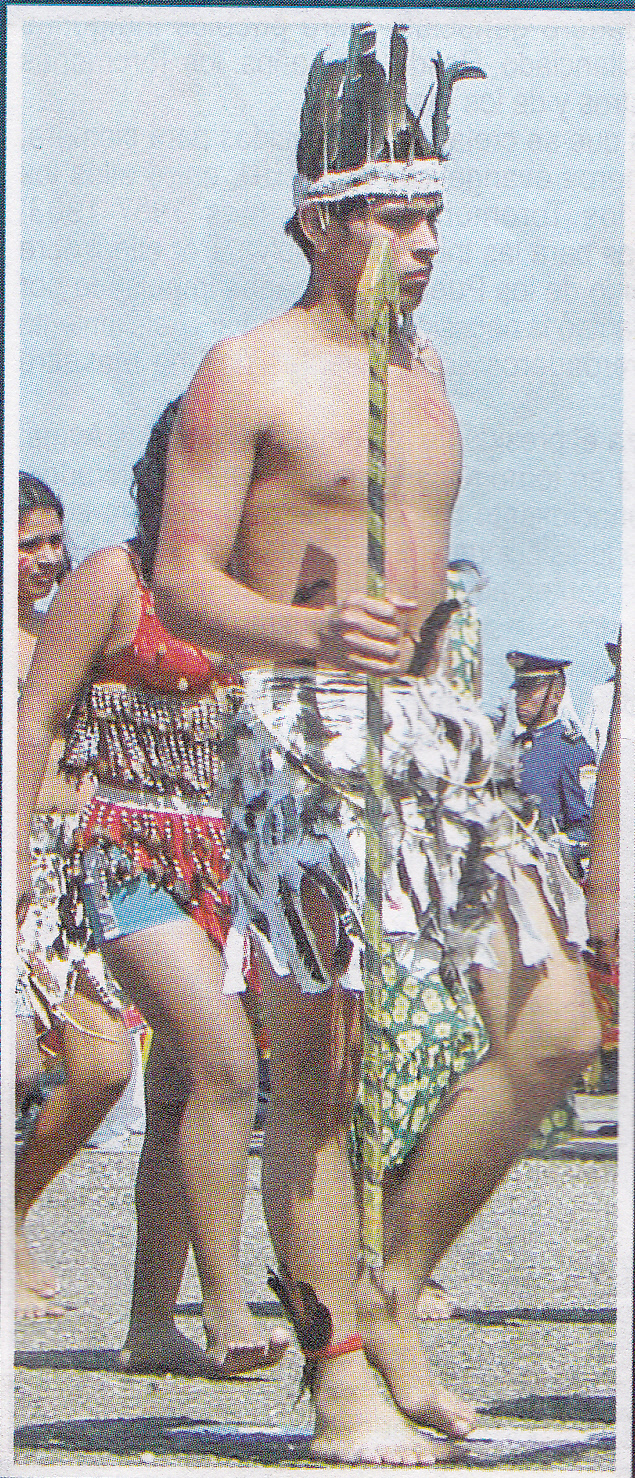 (36 Etnias de Bolivia) Etnia Ese Ejja - Las 36 Etnias de Bolivia