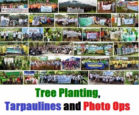 Thoughts to Promote Positive Action...: Tree Planting, Tarpaulines and ...