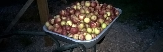 Dreamstate Living: How to make Homemade Apple Juice/Cider