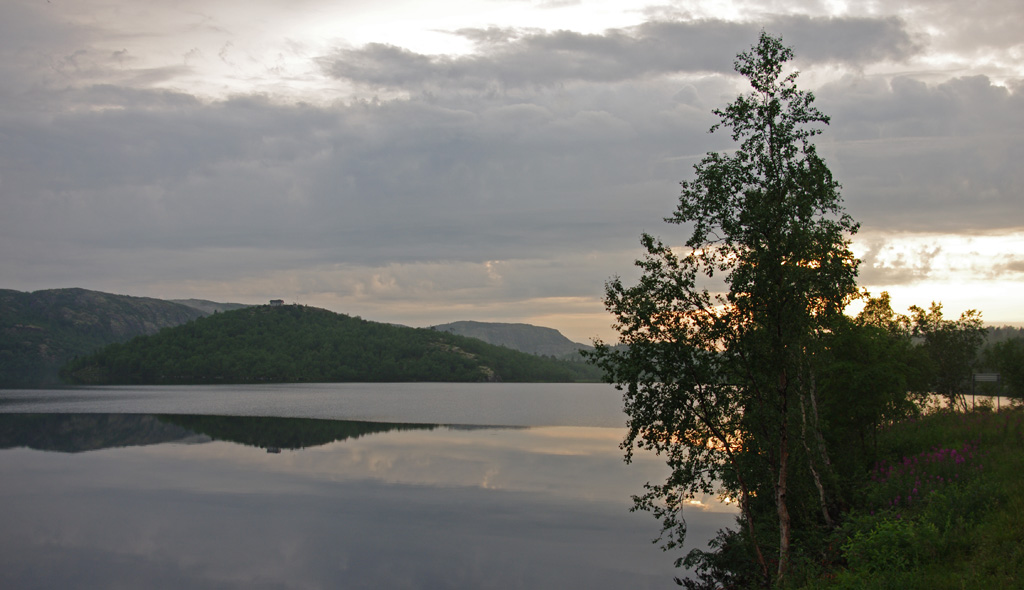 Nature photos from an Amateur Naturalist: Øvre Pasvik, Finnmark, Norway ...
