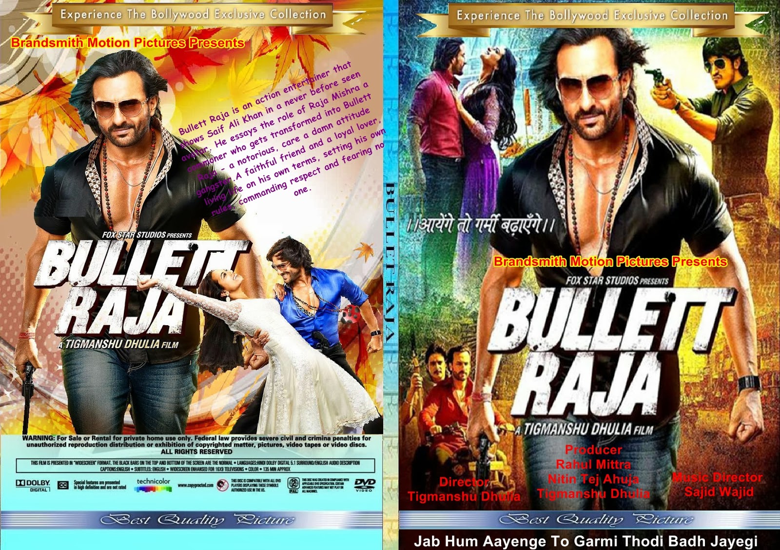 BOLLYWOOD COVERZ: Bullet Raja (2013) DVD COVER