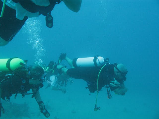 Puerto Rico Rambles: 100th Dive