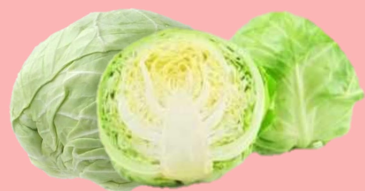 6 MANFAAT KUBIS UNTUK KESEHATAN - Rumah Sehat