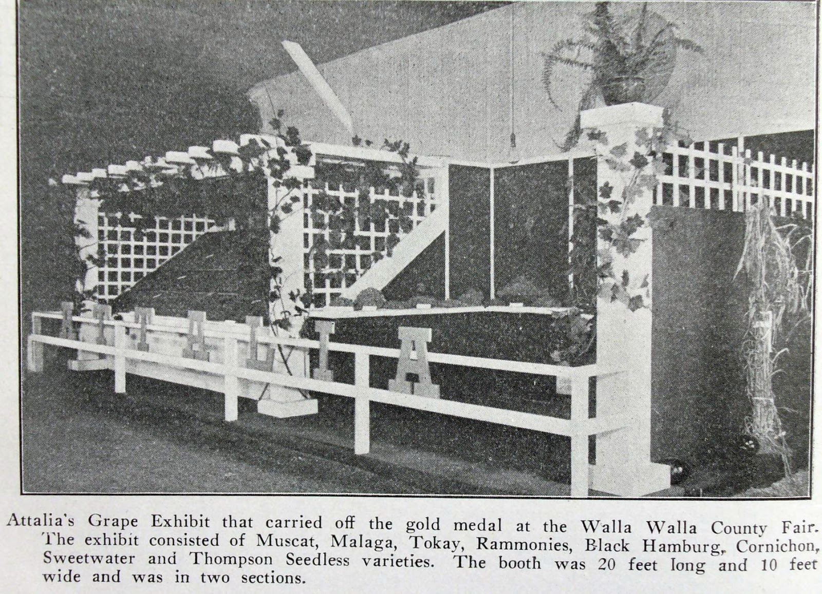 Bygone Walla Walla: vintage images of the City and County (and beyond ...