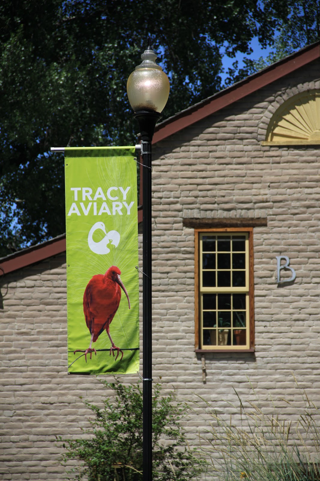 My Scenic Byway: The Tracy Aviary - Must See in Salt Lake City
