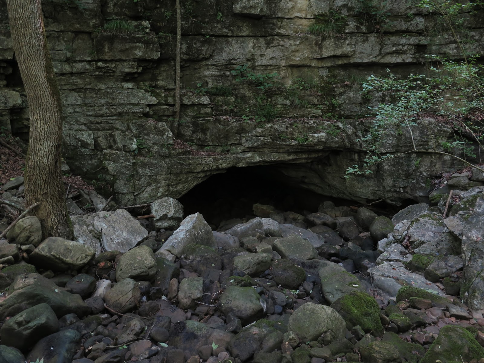GROSS SKELETON CAVE - ADAM HAYDOCK
