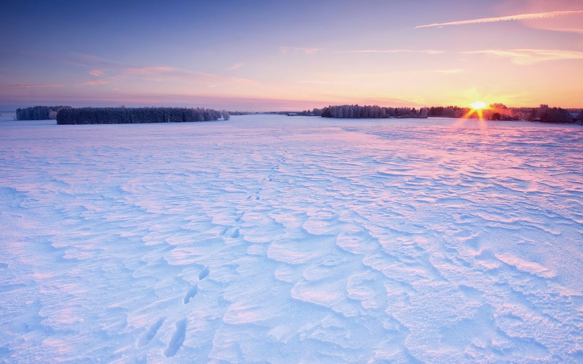 Winter Sunrise Wallpaper