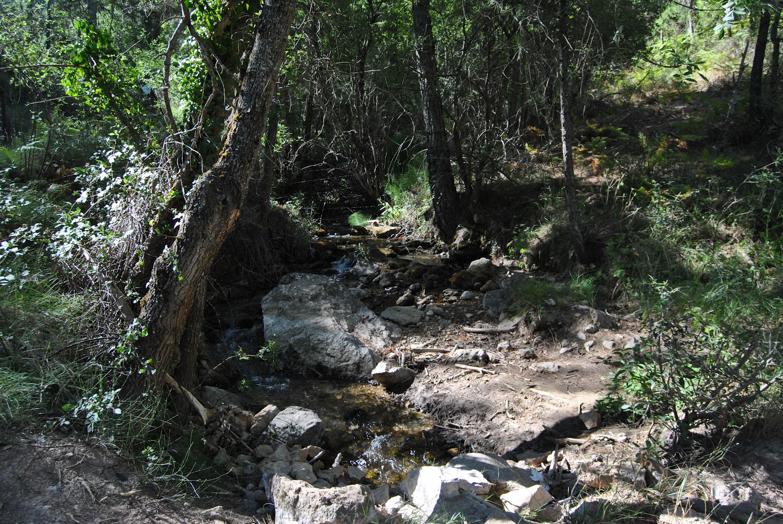 Excursiones por "el Mundo" ..... Riópar y la Sierra del Segura: Por el ...