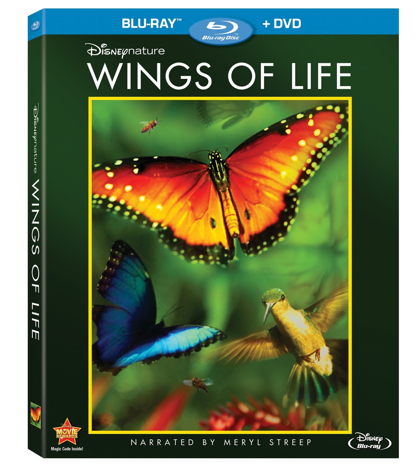 A Lucky Ladybug: Disney Nature Wings of Life DVD Review and Giveaway