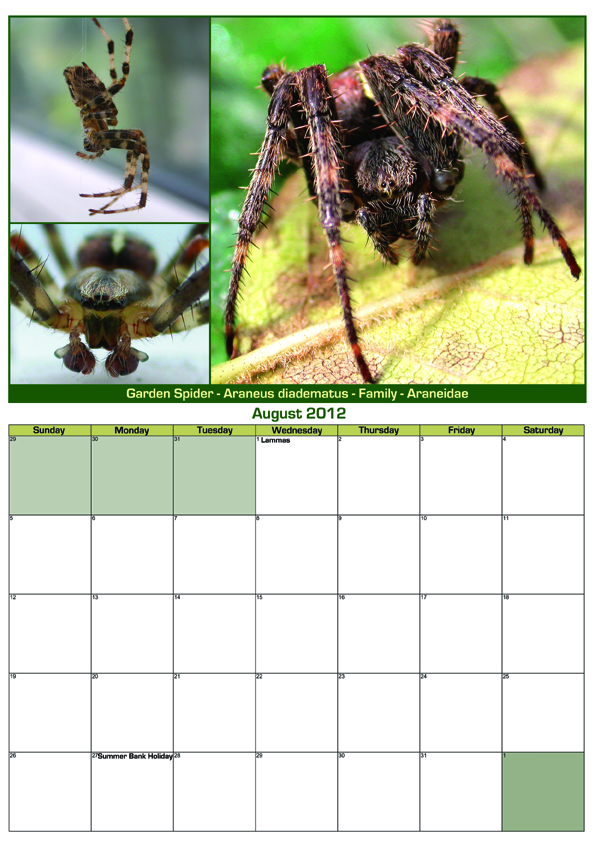 Arachnerds: Spiders Calendar 2012