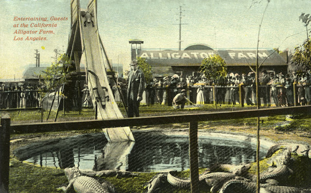 DECAYING HOLLYWOOD MANSIONS: The California Alligator Farm - Los Angeles