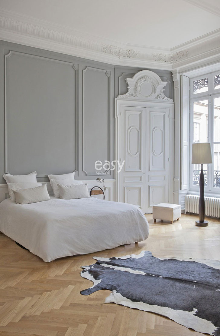 Haussmann style apartment in Lyon