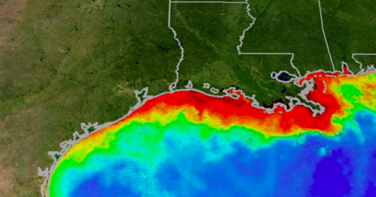 Gulf of Mexico Environmental News: Harmful algal blooms in Gulf of ...