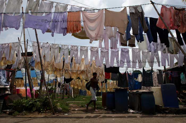 Sri Lanka : Sri Lanka's largest Laundry Run