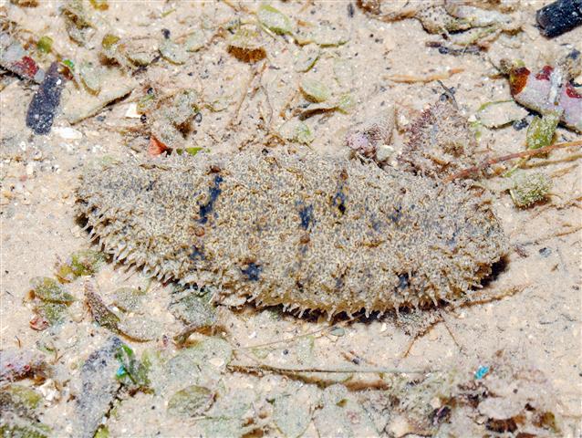 God's wonderful creation: CNY Day 2: St John's Island