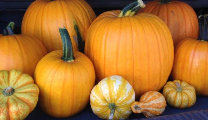 Manfaat Buah Labu Untuk Mencegah Diabetes