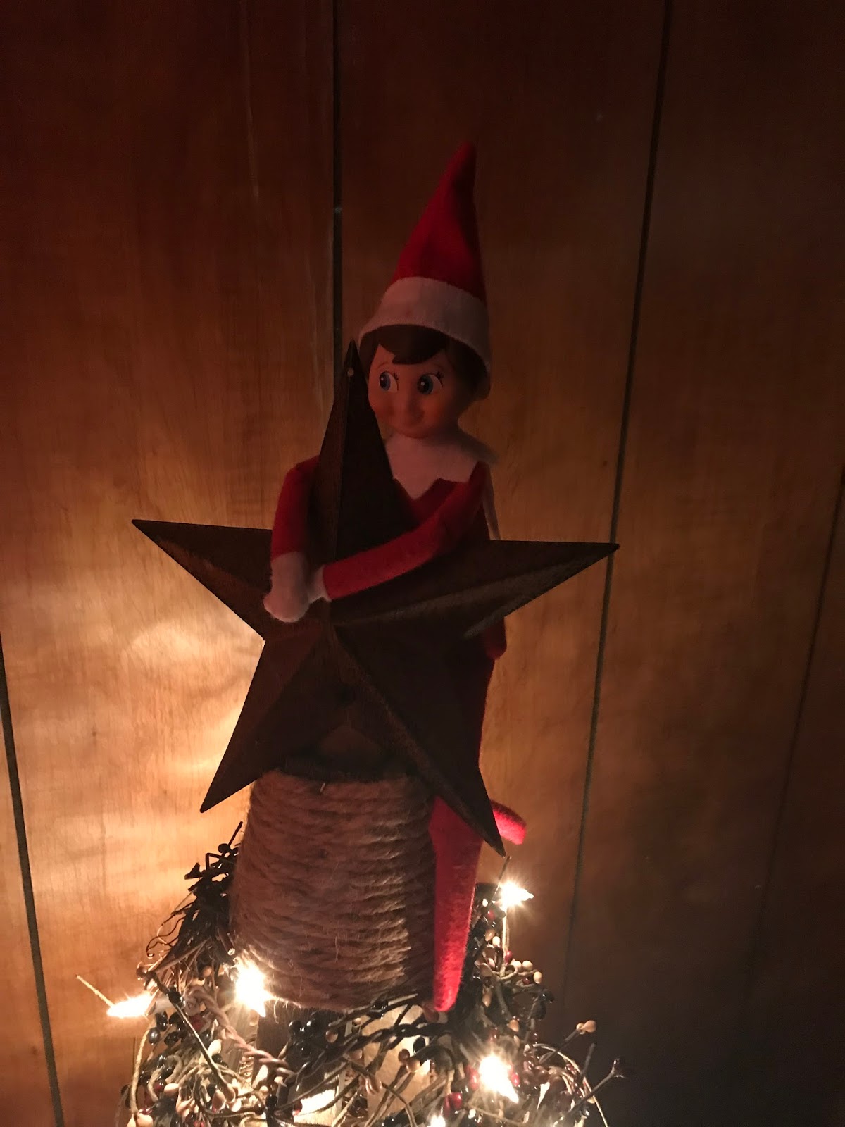 George's Journal: It's Sammy