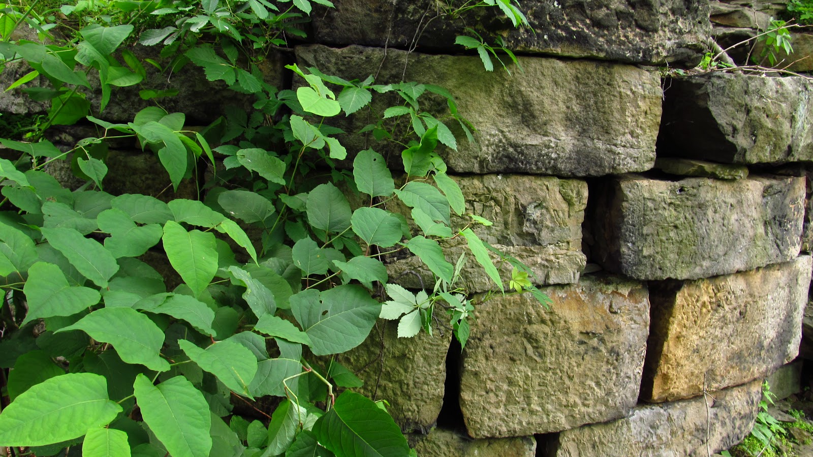 Old Industry of Southwestern Pennsylvania : A Trip Through Packsaddle Gap