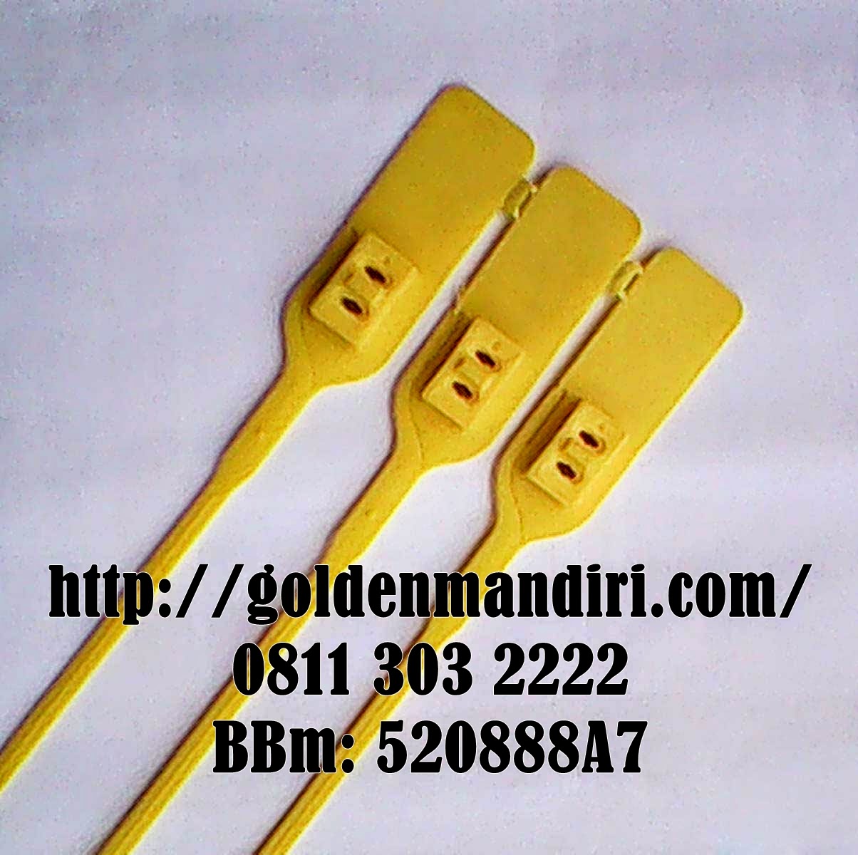 CV. Golden Mandiri | Segel Truk Kelapa Sawit: Double Lock