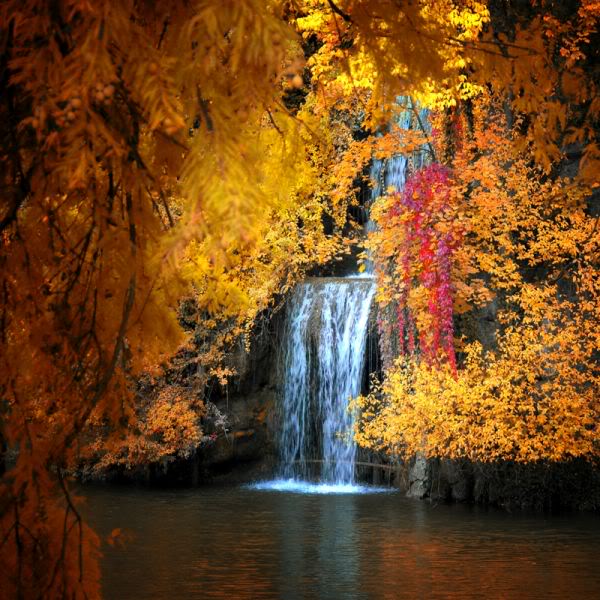 Paradisul Verde A Venit Toamnaacoperă Mi Inima Cu Cevacu Umbra