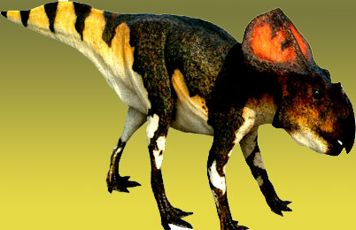 Fauna Prehistorica: PROTOCERATOPS