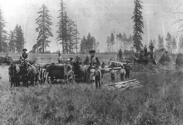 Passion for the Past: The Summer of our Ancestors: From Farm Life to ...