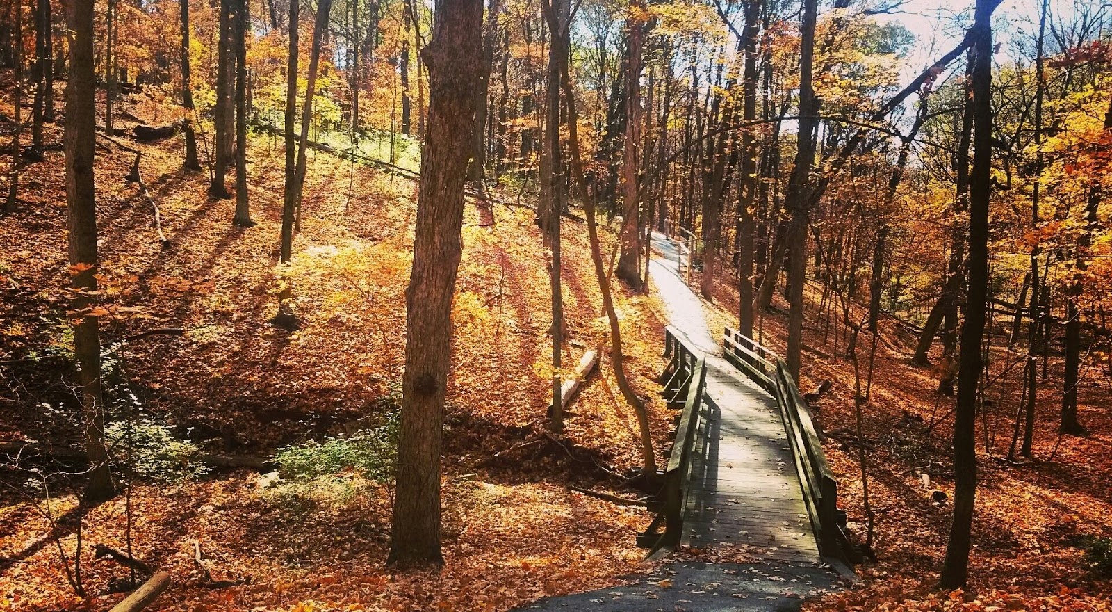 Play St. Louis: Powder Valley Nature Center, Kirkwood