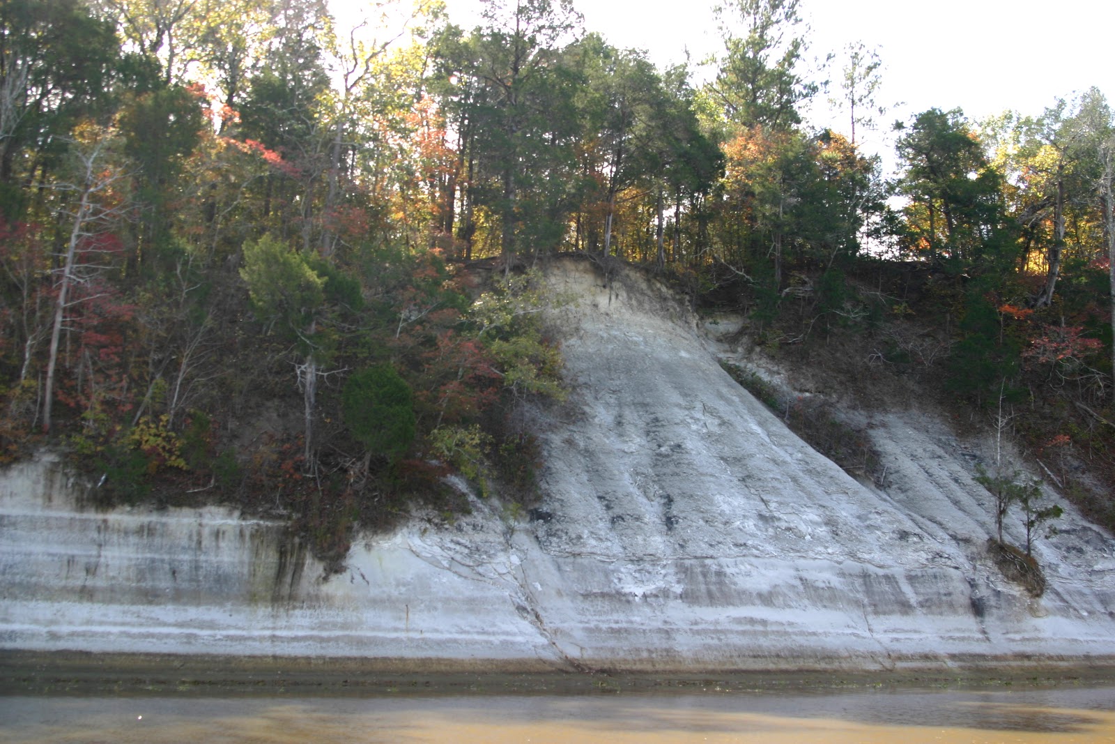 2 Loopers And A Portie