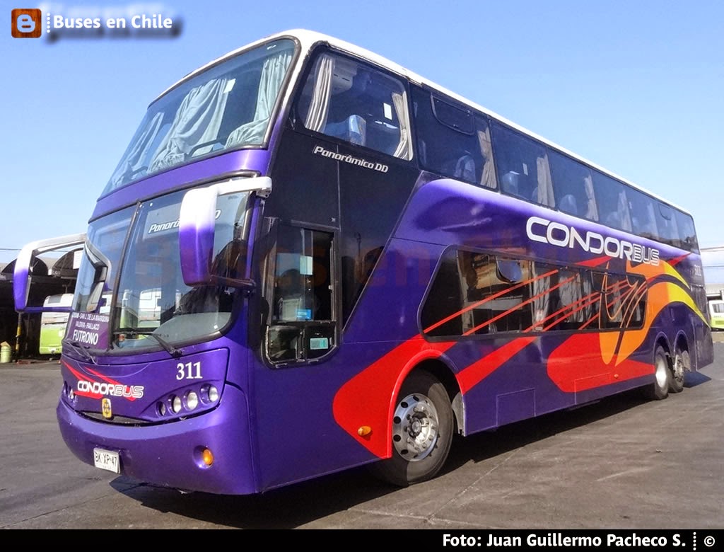 Buses en Chile | Juan Guillermo Pacheco S.: Condor Bus | N° 311.-