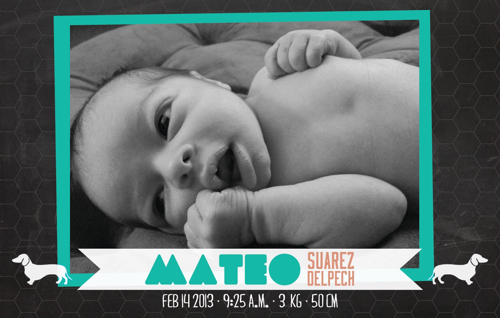 cos-cos: 02/01/2013 - 03/01/2013