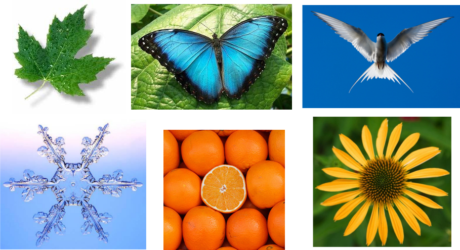 A-medida: 5. ELEMENTOS BÁSICOS DE LA IMAGEN: ANÁLISIS DE LA FORMA