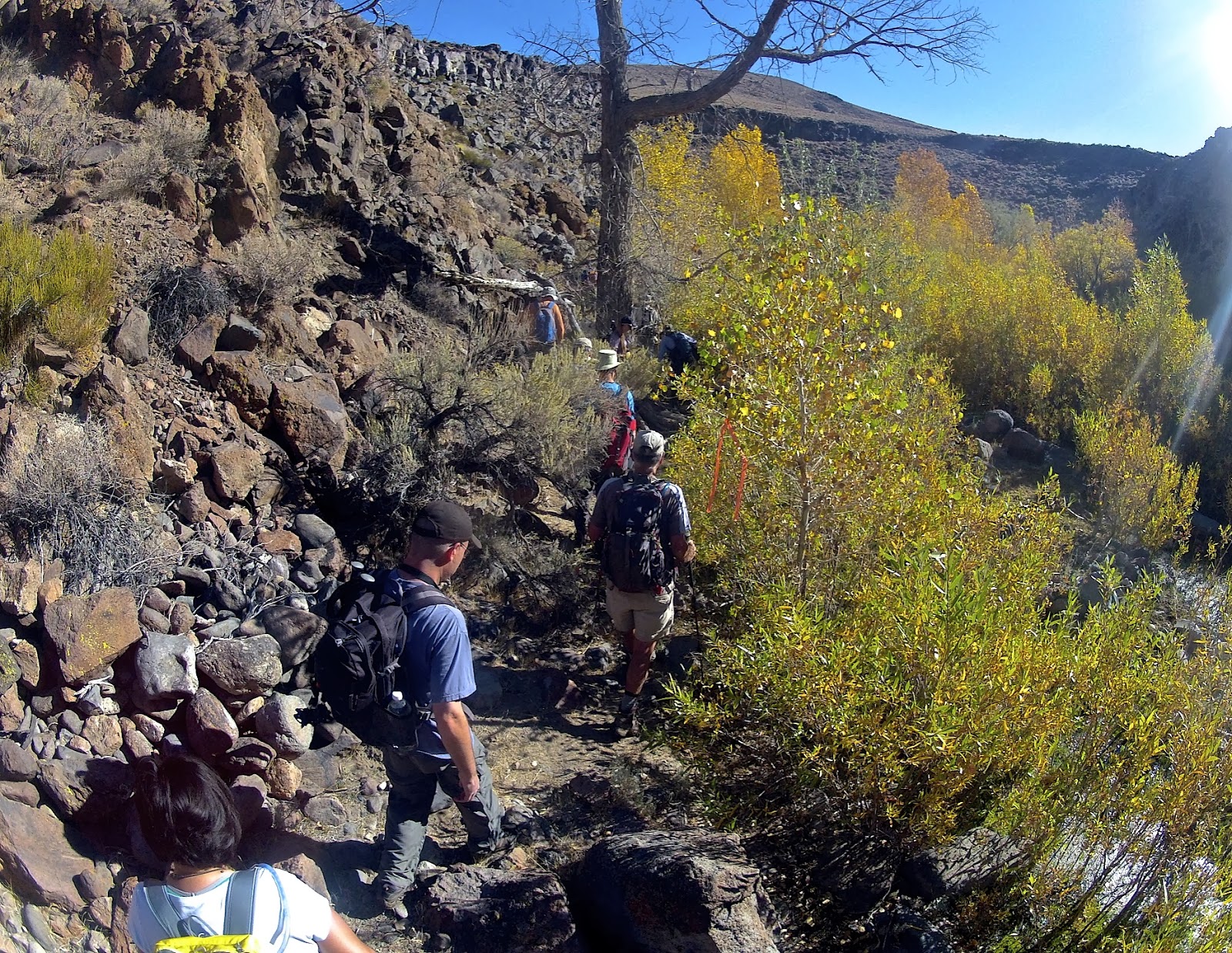The Duffel Bag: * Lagomarsino Canyon Hike and Petroglyph Site