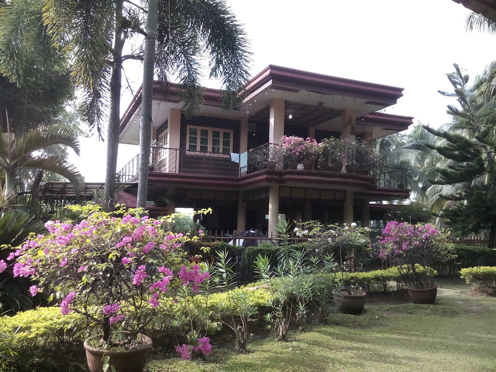 All About Davao City: Yoshida Farm