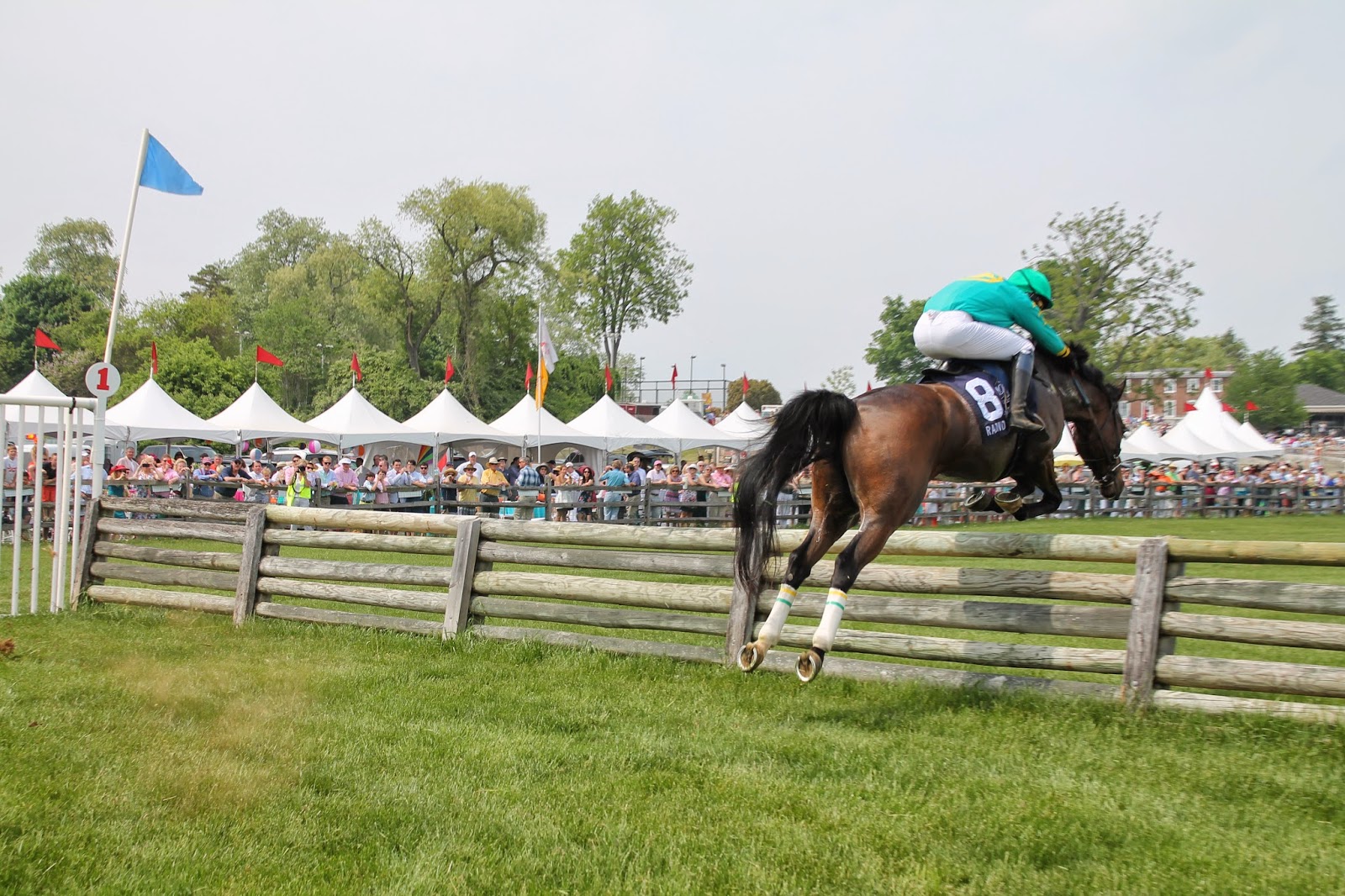Stone Hill Farm: The Radnor Hunt Races